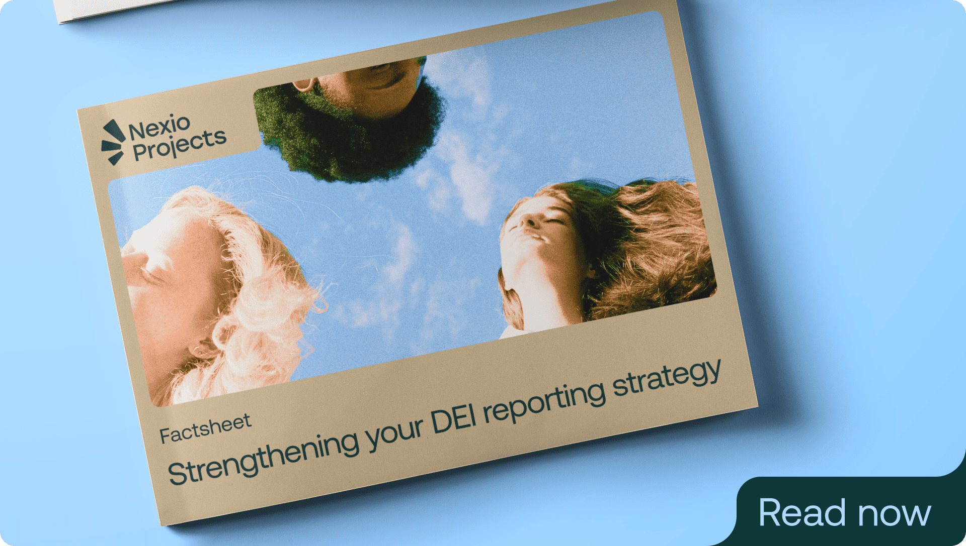 Strengthening your DEI reporting strategy | Nexio Projects