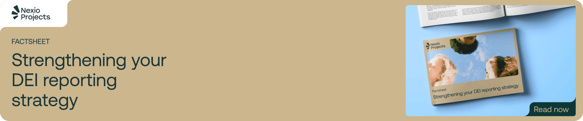 Strengthening your DEI reporting strategy | Nexio Projects