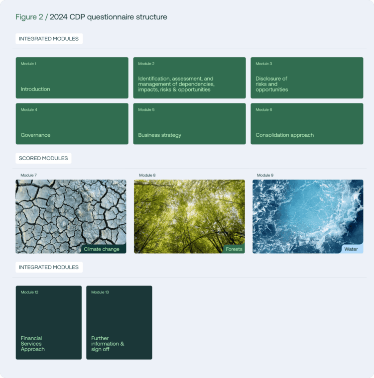 What you need to know to complete the CDP disclosure | Nexio Projects