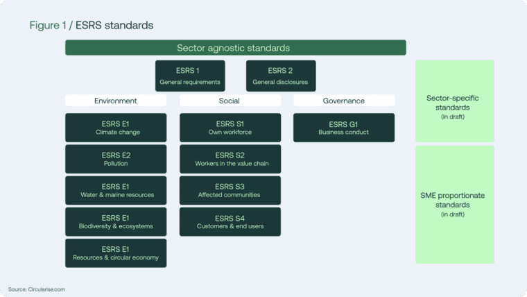 Understanding ESRS | Nexio Projects