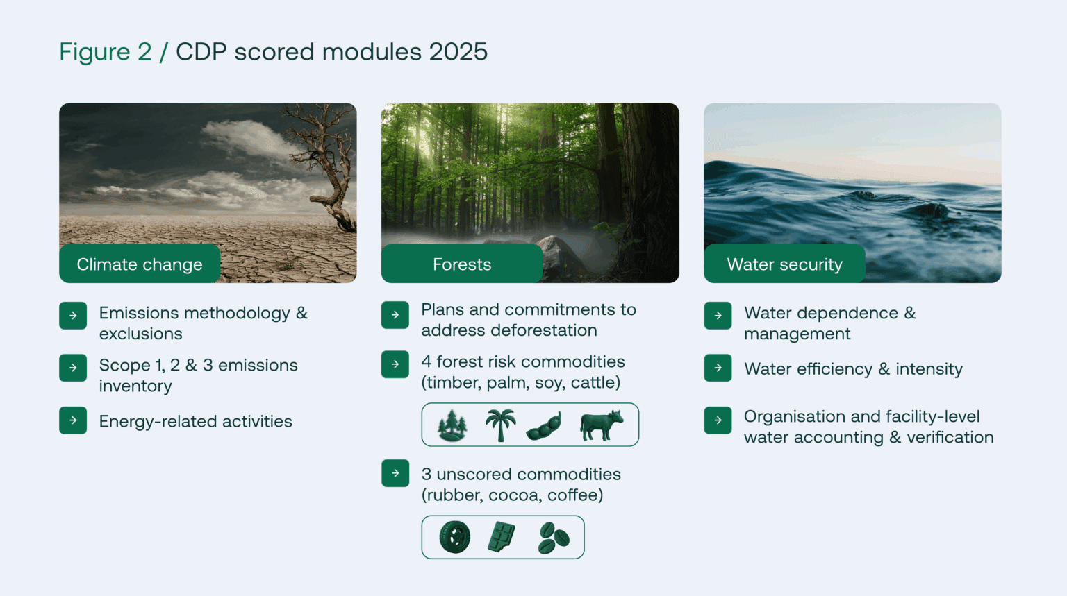 CDP 2025 changes, timelines and guidance for corporate disclosure