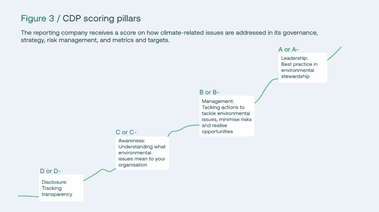 Understanding CDP's essential criteria for a strong disclosure