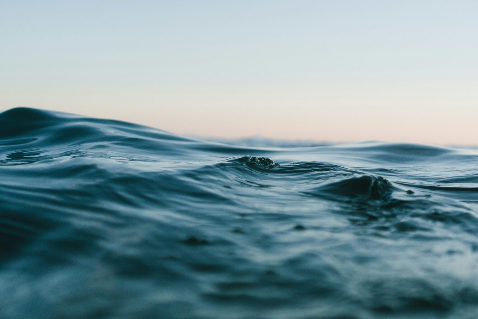 Understanding CDP's essential criteria for a strong disclosure