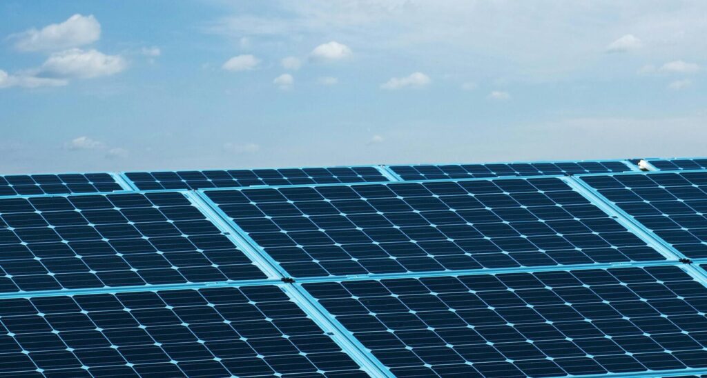 SBTi 2025: corporate climate targets insights | Nexio Projects