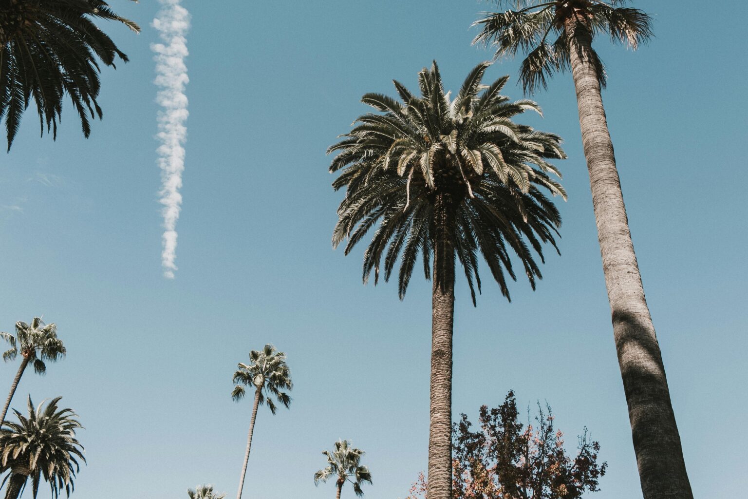 California SB 261 climate risk reporting | Nexio Projects